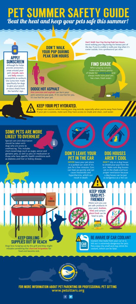 PET SUMMER SAFETY GUIDE – Ohio Pet Expert